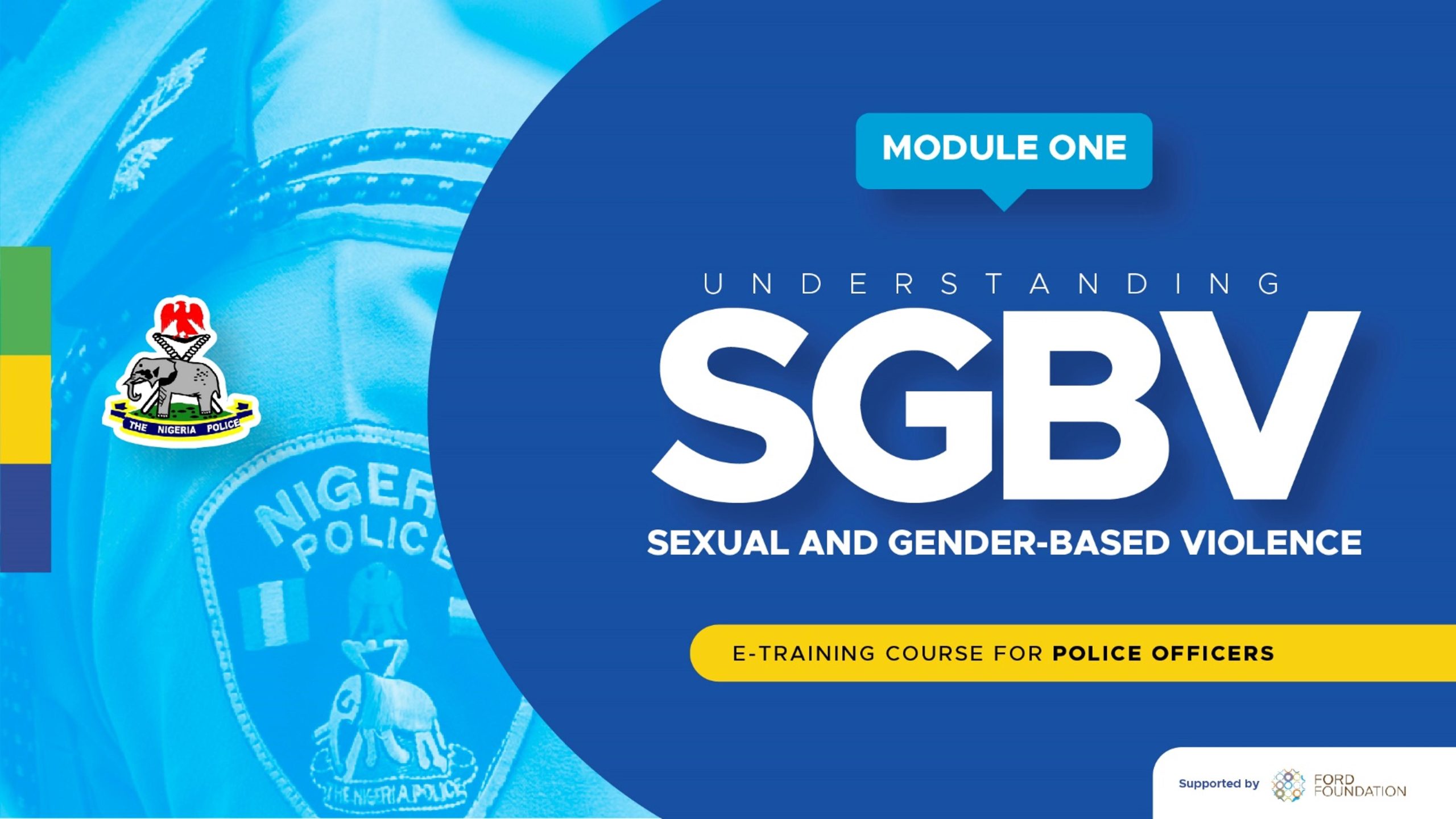 Module One – Understanding Sexual and Gender-based Violence – SGBV ...